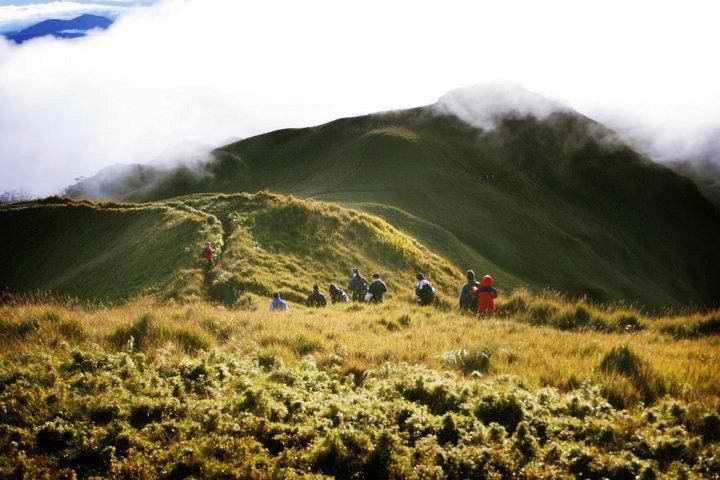 Mt. Pulag via Ambangeg Trail - Hiking / Mountain Climbing Itineraries ...