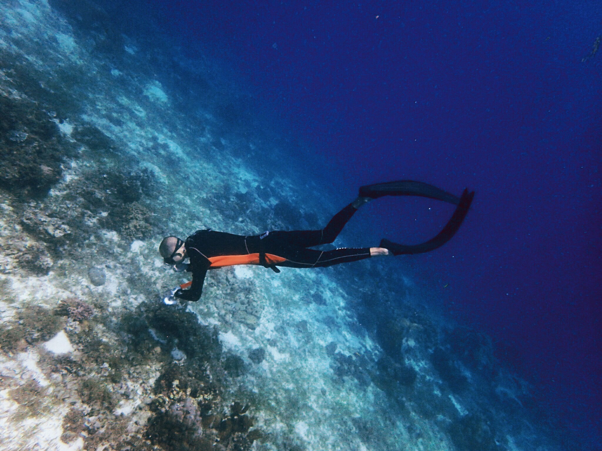 These Are the Essential Diving Gears Used By Professional Freedivers ...