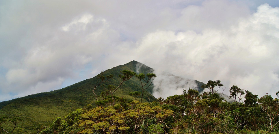 Mt. Hamiguitan World Heritage Site - Hiking / Mountain Climbing ...