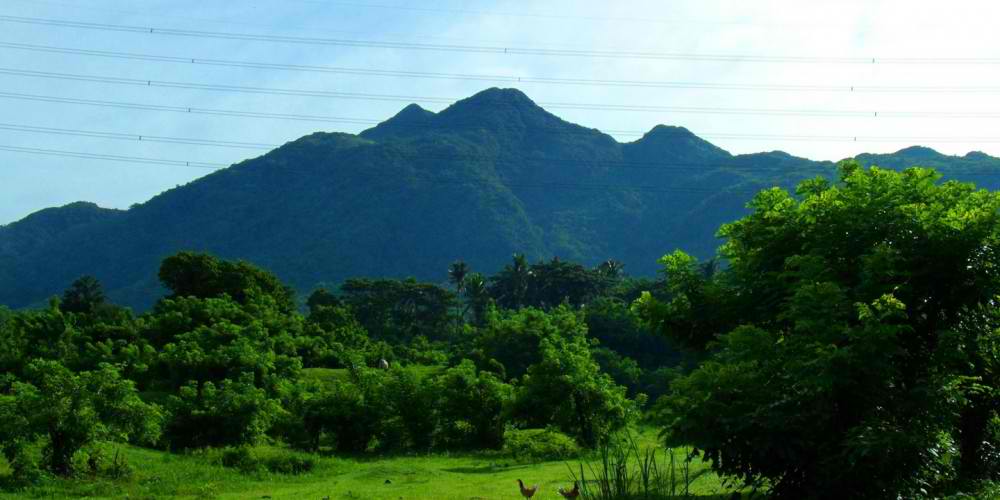 Mt. Makiling Dayhike - Hiking / Mountain Climbing Itineraries ...